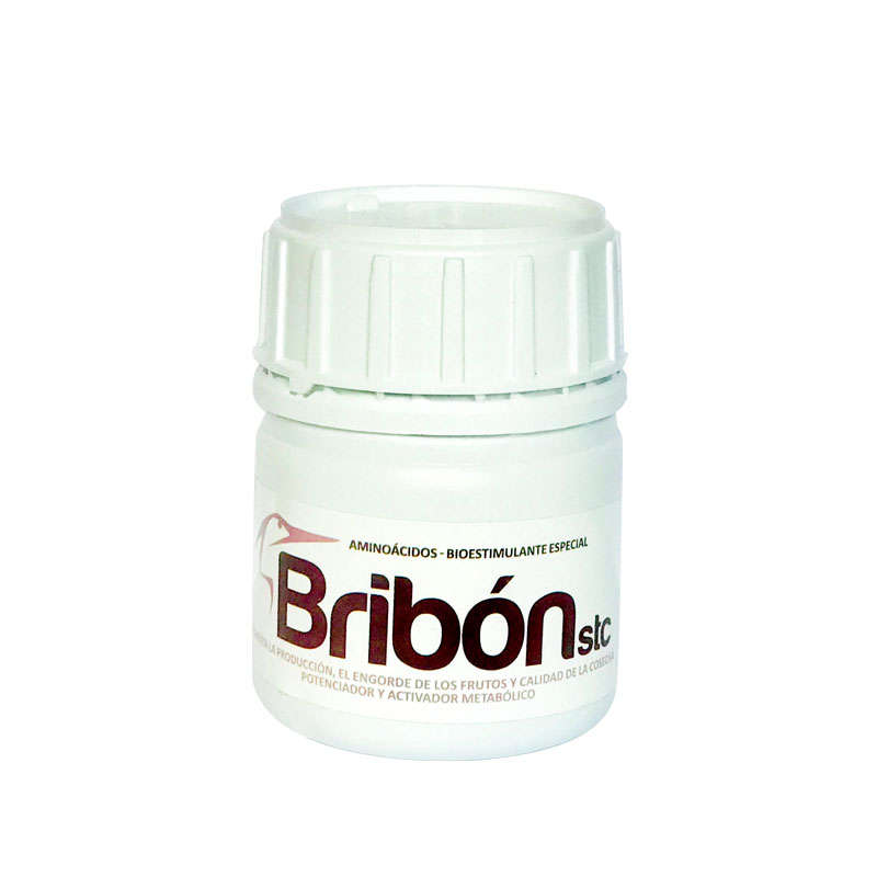 Bribon 100cc – Agrizon.com