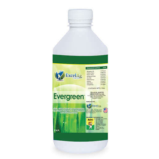 Evergreen 1 lt. – Agrizon.com