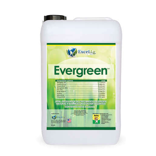Evergreen 20 lt. – Agrizon.com