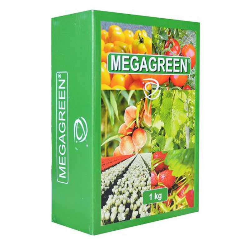 Megagreen 1 kg. – Agrizon.com