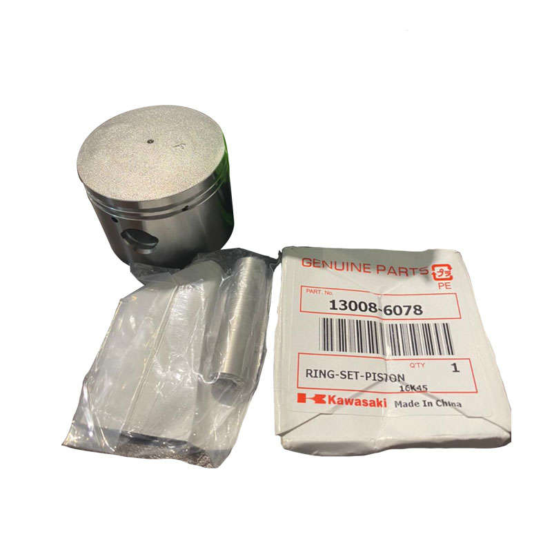 Piston and Rims - Guarany Nebulizer 6 lt. – Agrizon.com