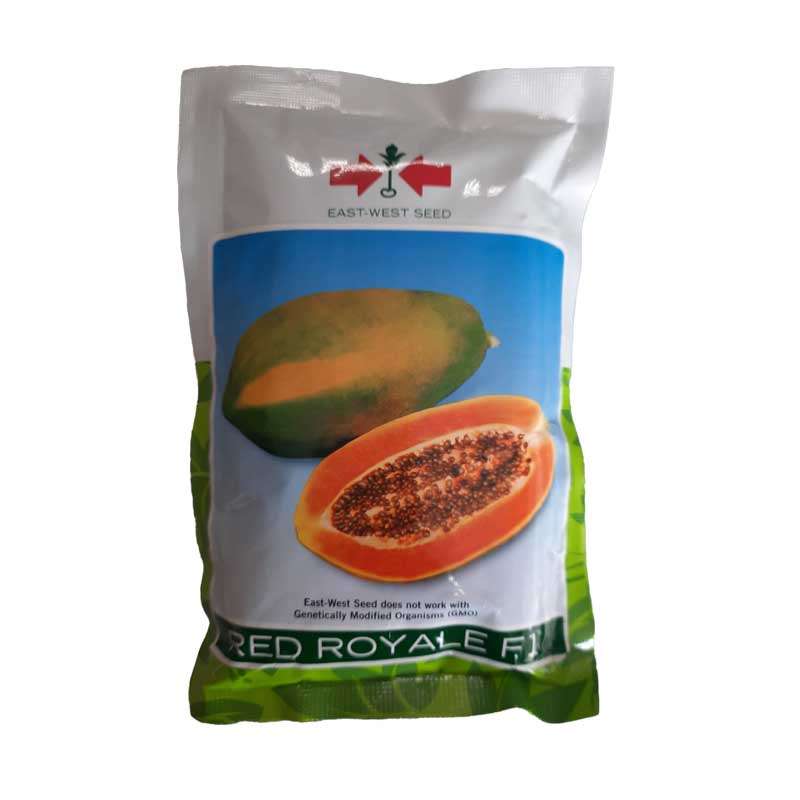 Red Royal Papaya Seed x 1000s. – Agrizon.com